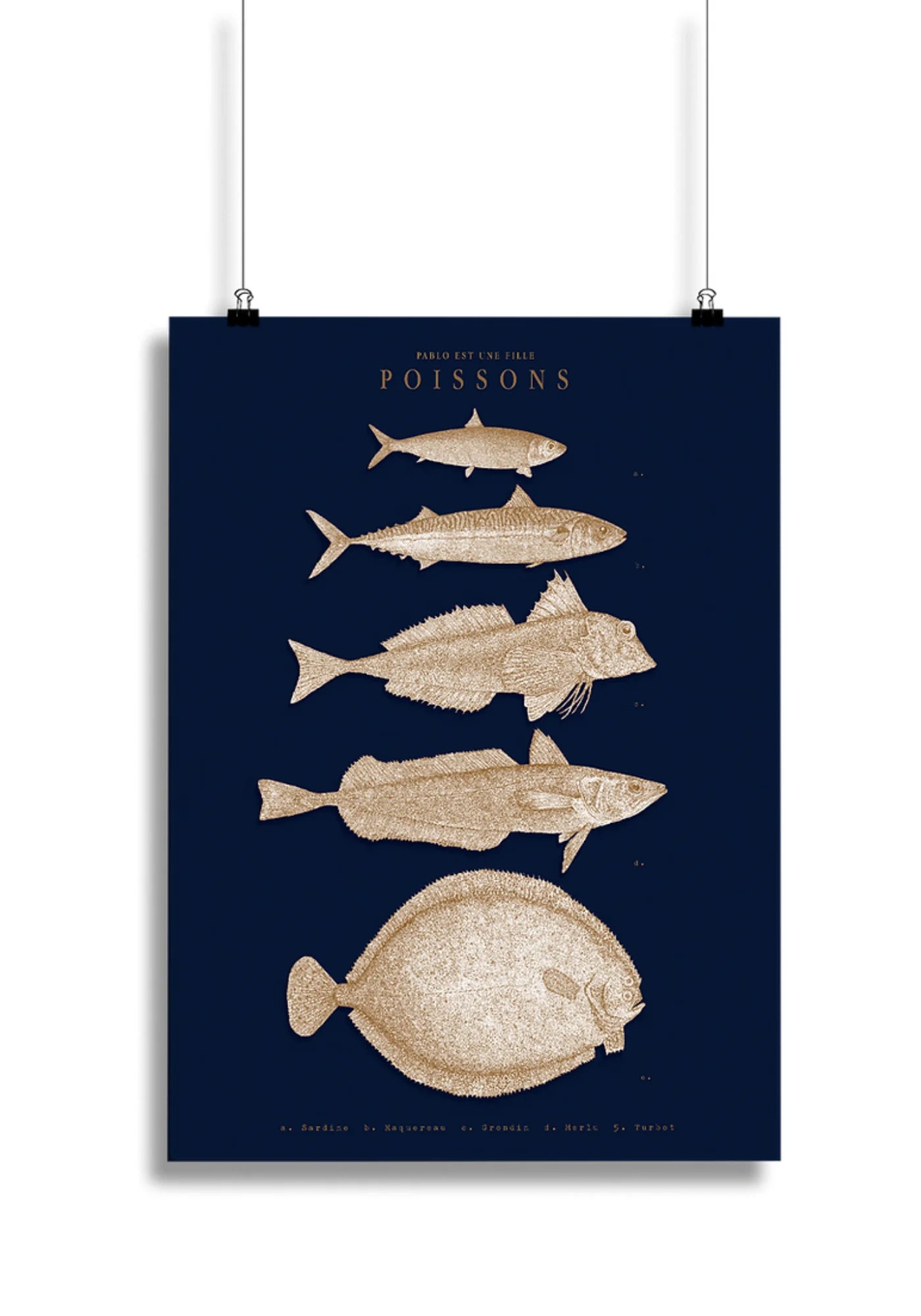 CIGOIRE | Affiche Poissons 30x40 cm de chez Pablo est une fille